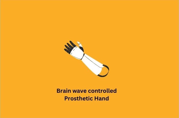 Portfolio | Himanshu